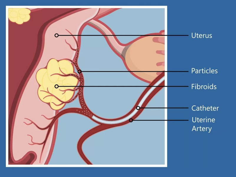 Best Gynaecologist In Sector 10 A Gurgaon Obstetrician Near Sector 10